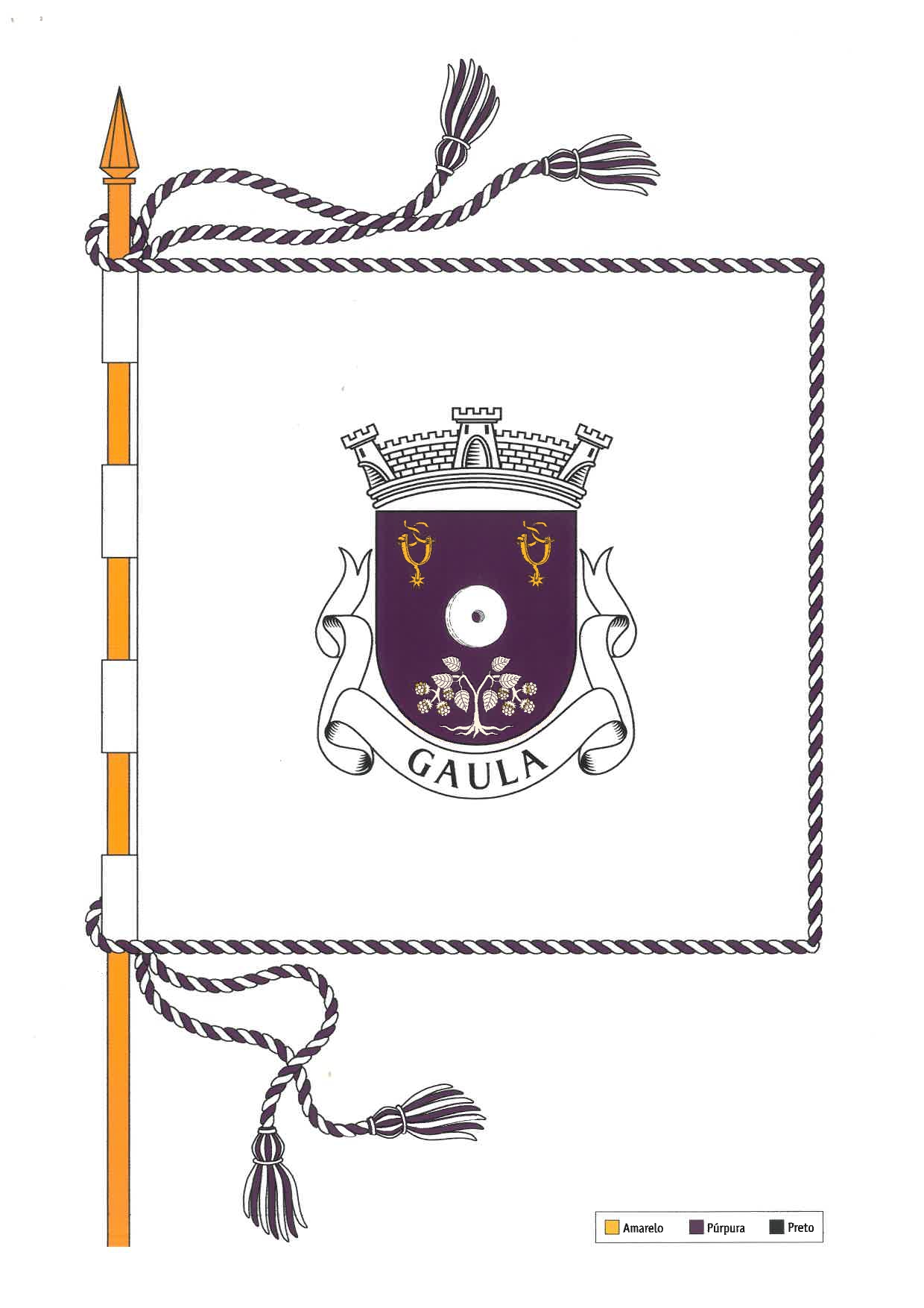 Símbolos Heráldicos – Junta de Freguesia de Gaula